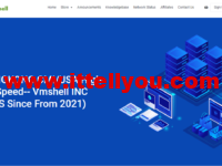 VMshell：支持ChatGPT.us和TikTok.us的特别版VPS，香港三网CMI 600Mbps@1TB，年付99美元 - 国外主机测评
